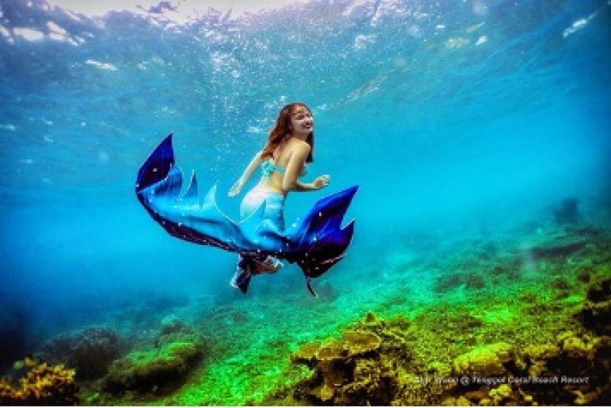 8 Reasons Why You Should Become an SSI Mermaid Instructor
