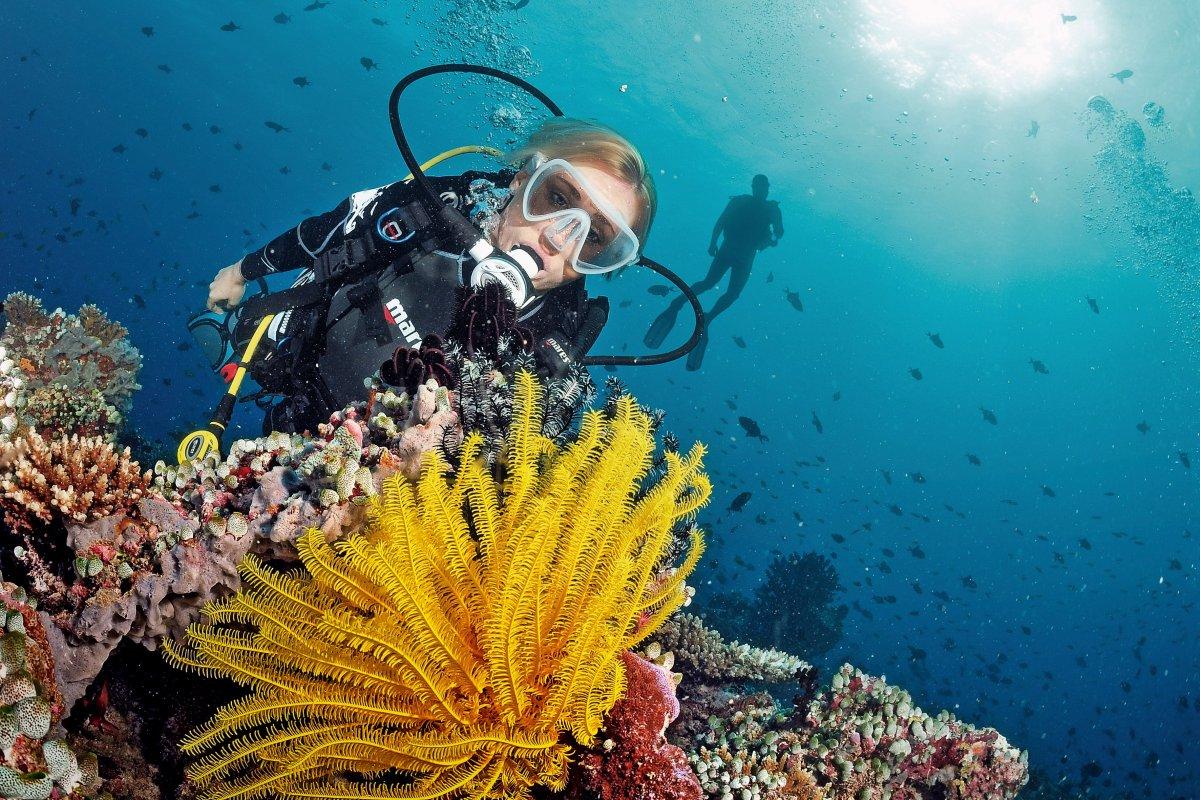 15 Skills Every Scuba Diver Should Master