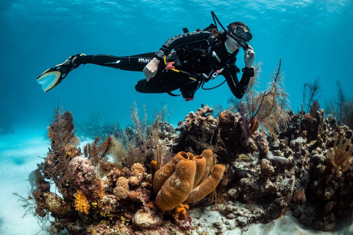 Scuba Diving Terminology: 35 Phrases You Need To Know