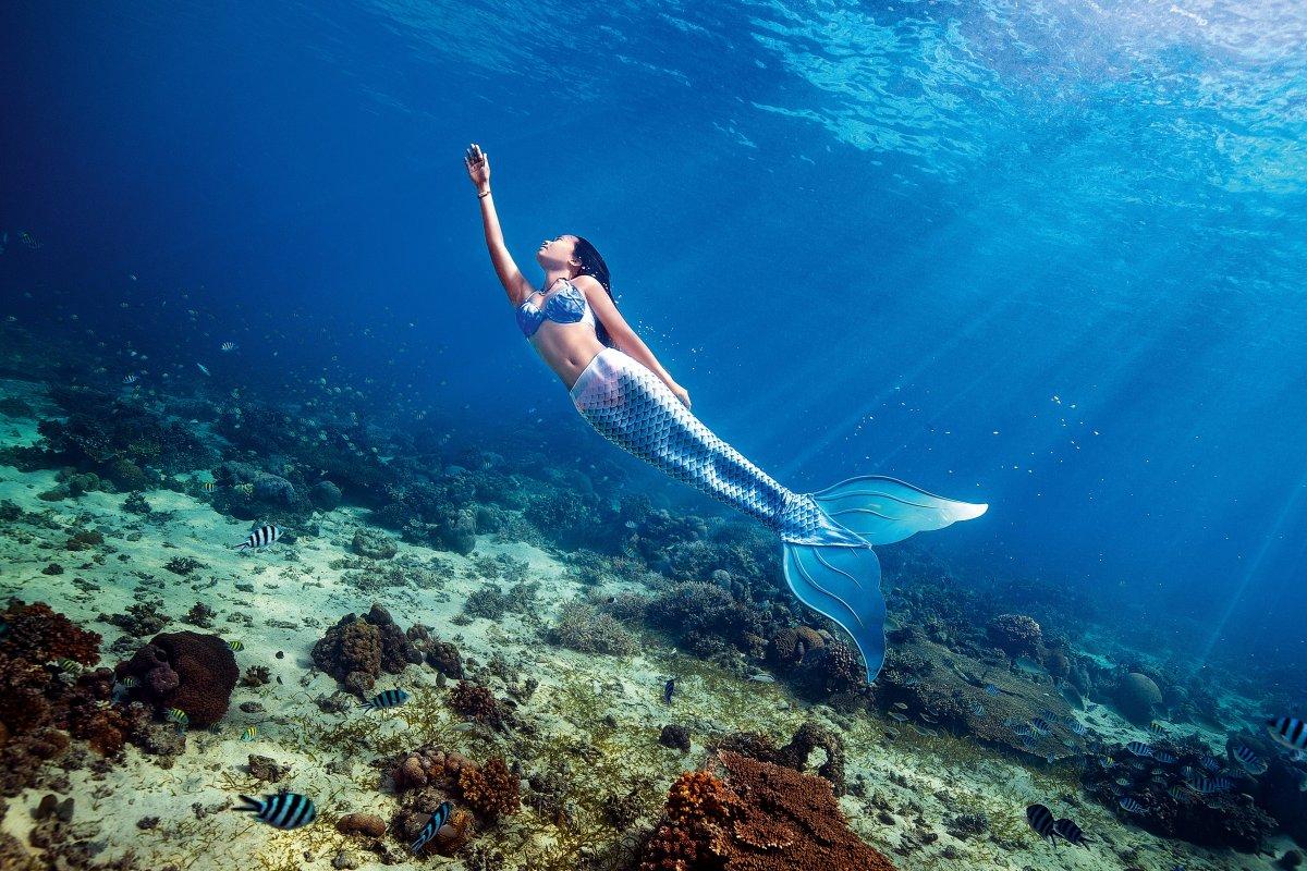 10 Best Places in the World to Take Your SSI Mermaid Course